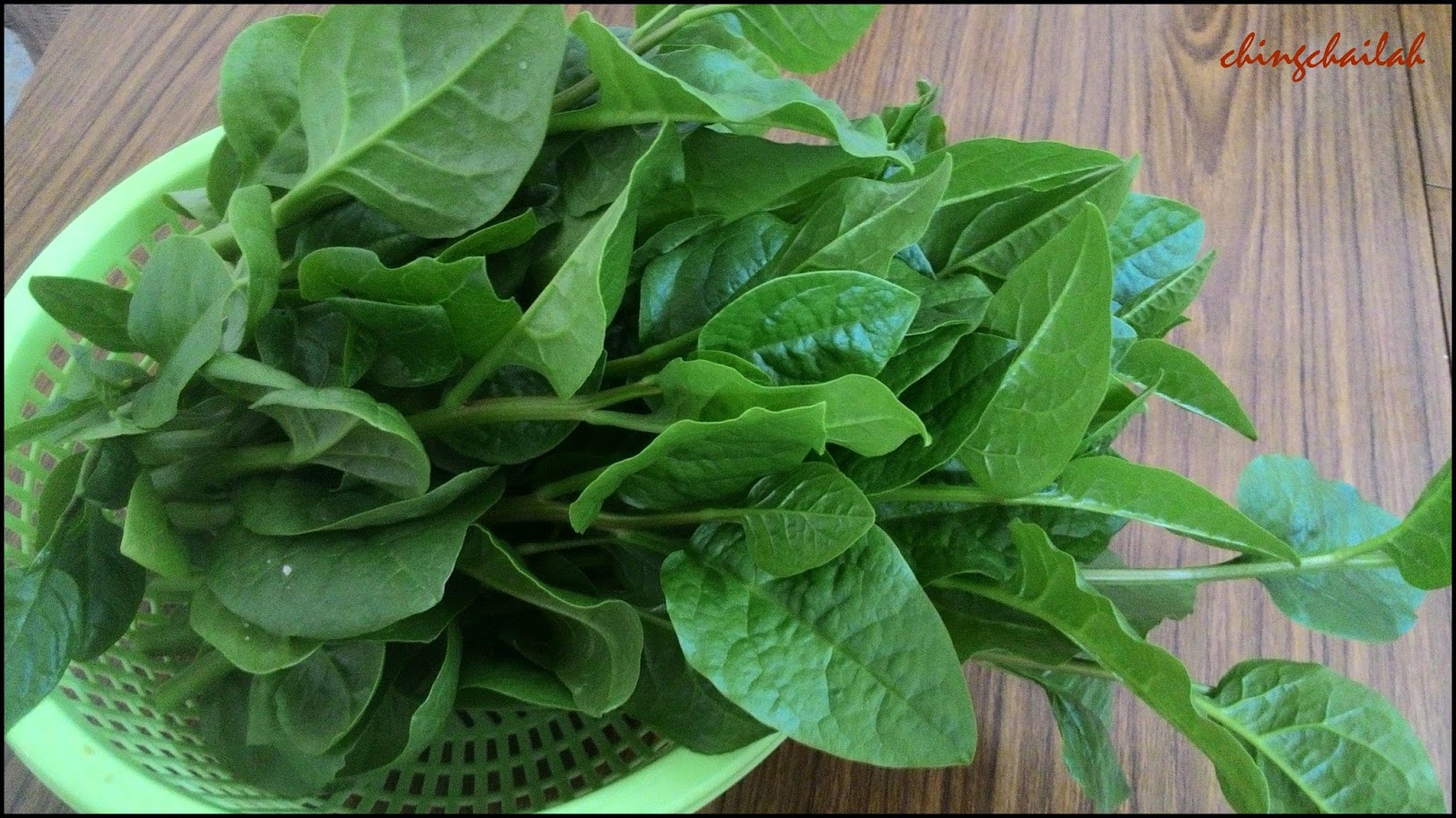 Simple Living In Nancy: Growing Malabar Spinach In My Garden.