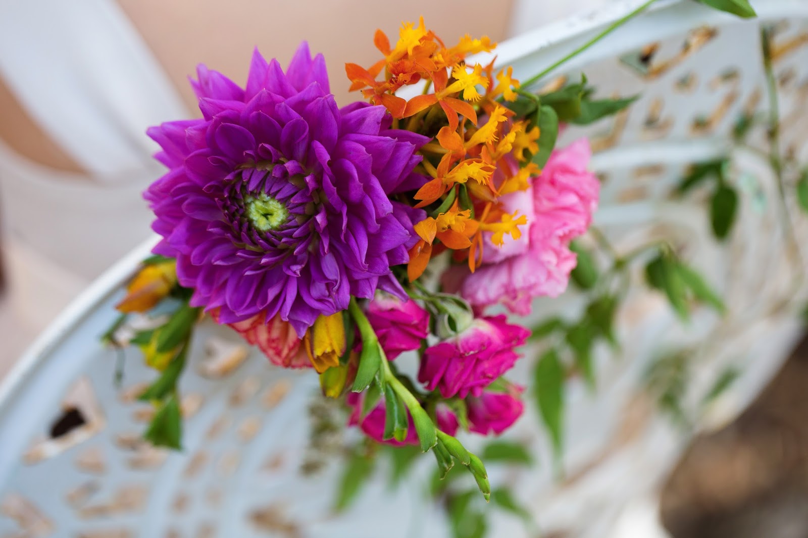 Little Big Company | The Blog: Spring has sprung: a beautiful Garden ...