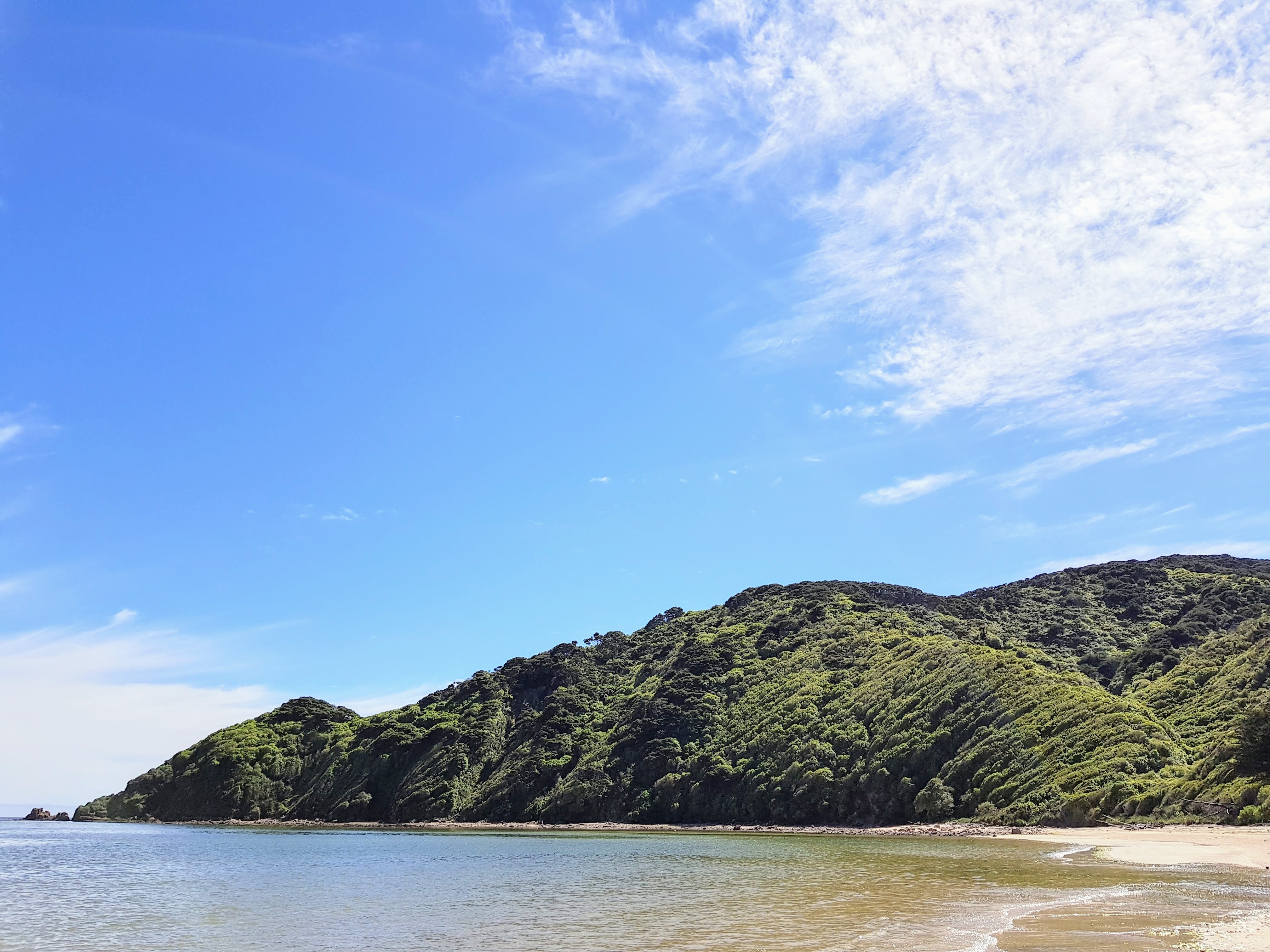 Tramping in the New Zealand backcountry: NZ Bush Adventures: Wainui ...