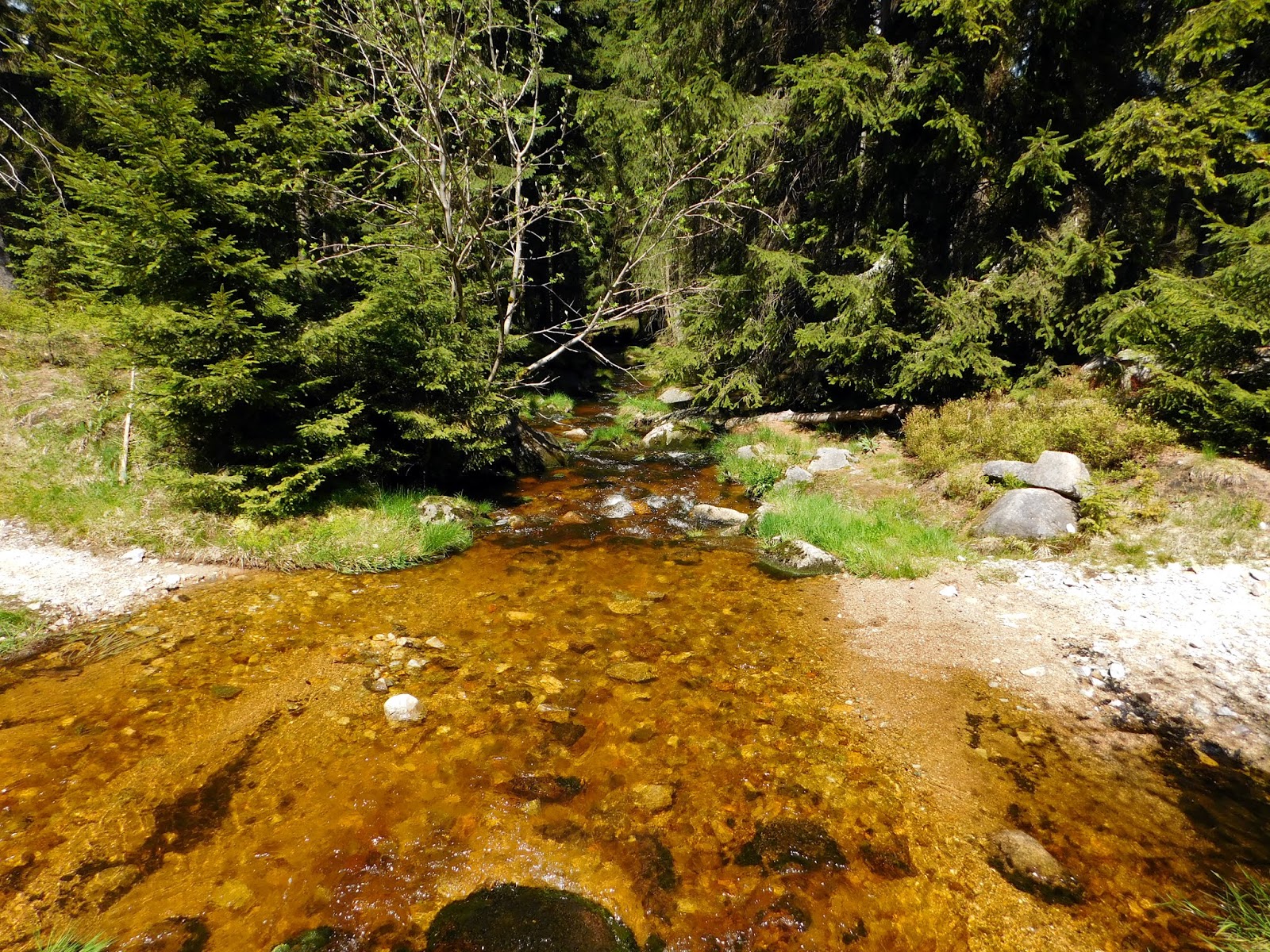 Góry Izerskie: wędrówka z Jakuszyc przez Schronisko Orle oraz rzeka ...
