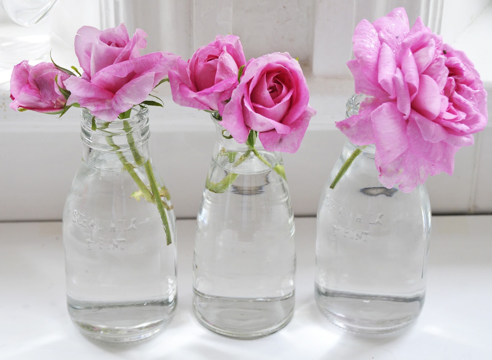 Helen Philipps: Raindrops on Roses