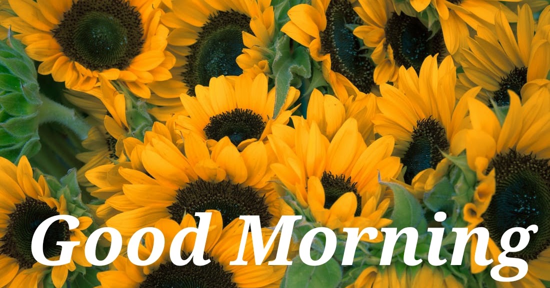 Top 10 Good Morning Images greeting Pictures,Photos for Whatsapp - Good ...