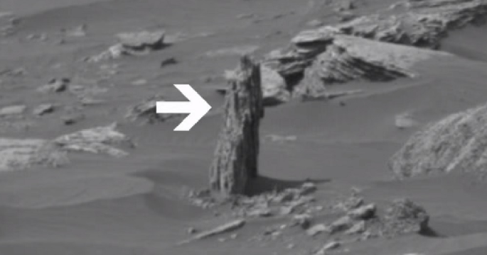 Ancient Tree Stump Spotted On Mars?