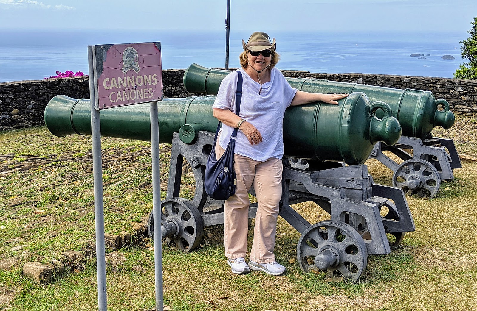 Around the World With Uncle Moose: 2020