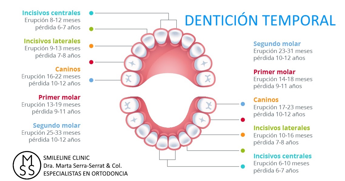 PROGRAMA DE PROMOCION Y PREVENCION EN SALUD ORAL: DIFERENCIAS EN DENTICION