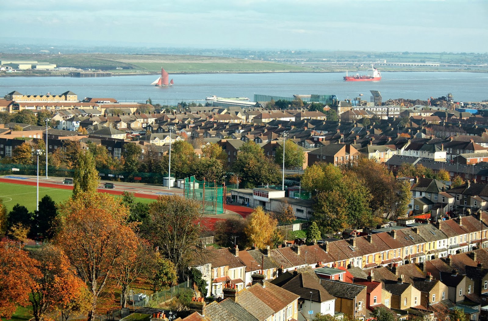 Arthur Pewty's maggot sandwich: 2013-09-29