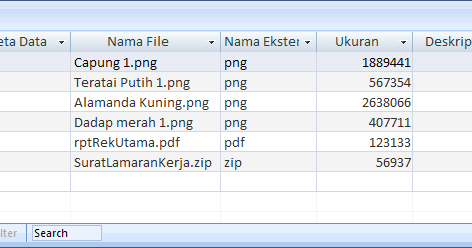 Membaca Data Tipe BLOB di MS Access - Access Terapan