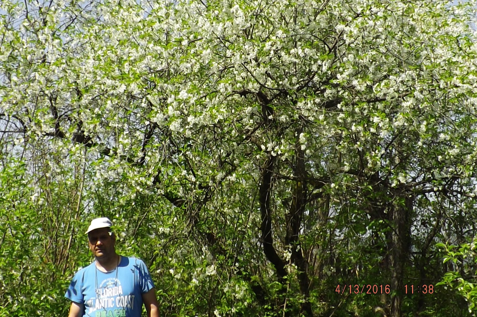 Gradinarit anotimp cu anotimp: Periplu de aprilie in gradina