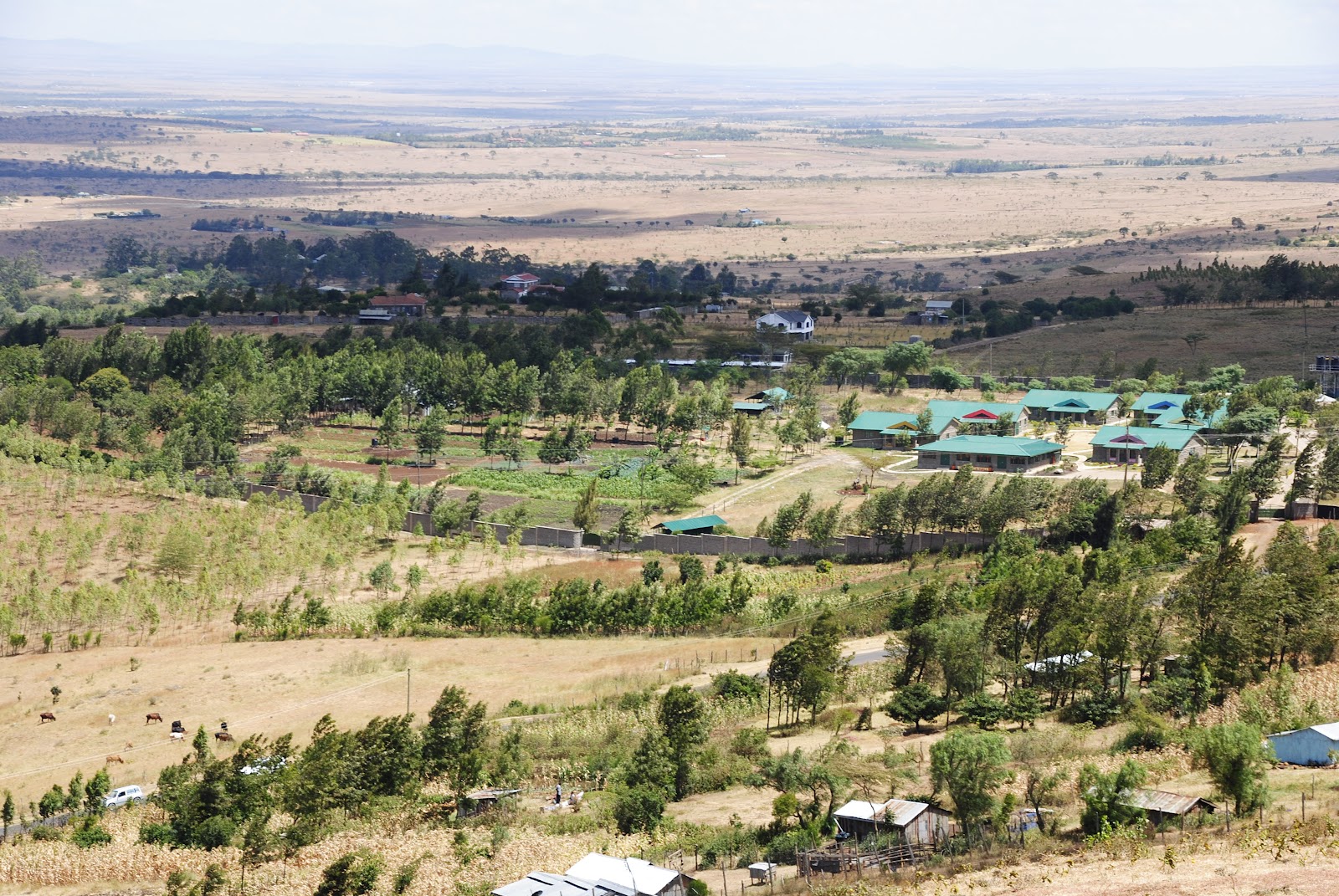 Africa Volunteering: Africa Volunteering - Hekima Place