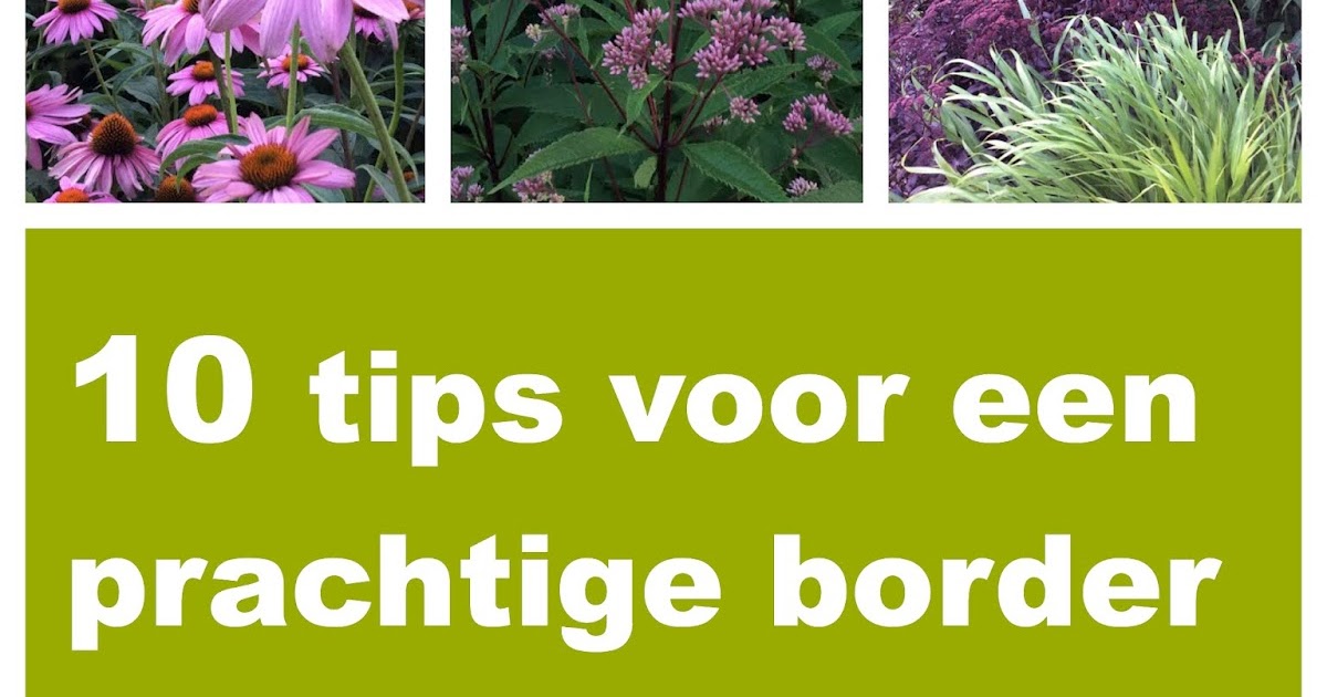 10 tips voor een prachtige border