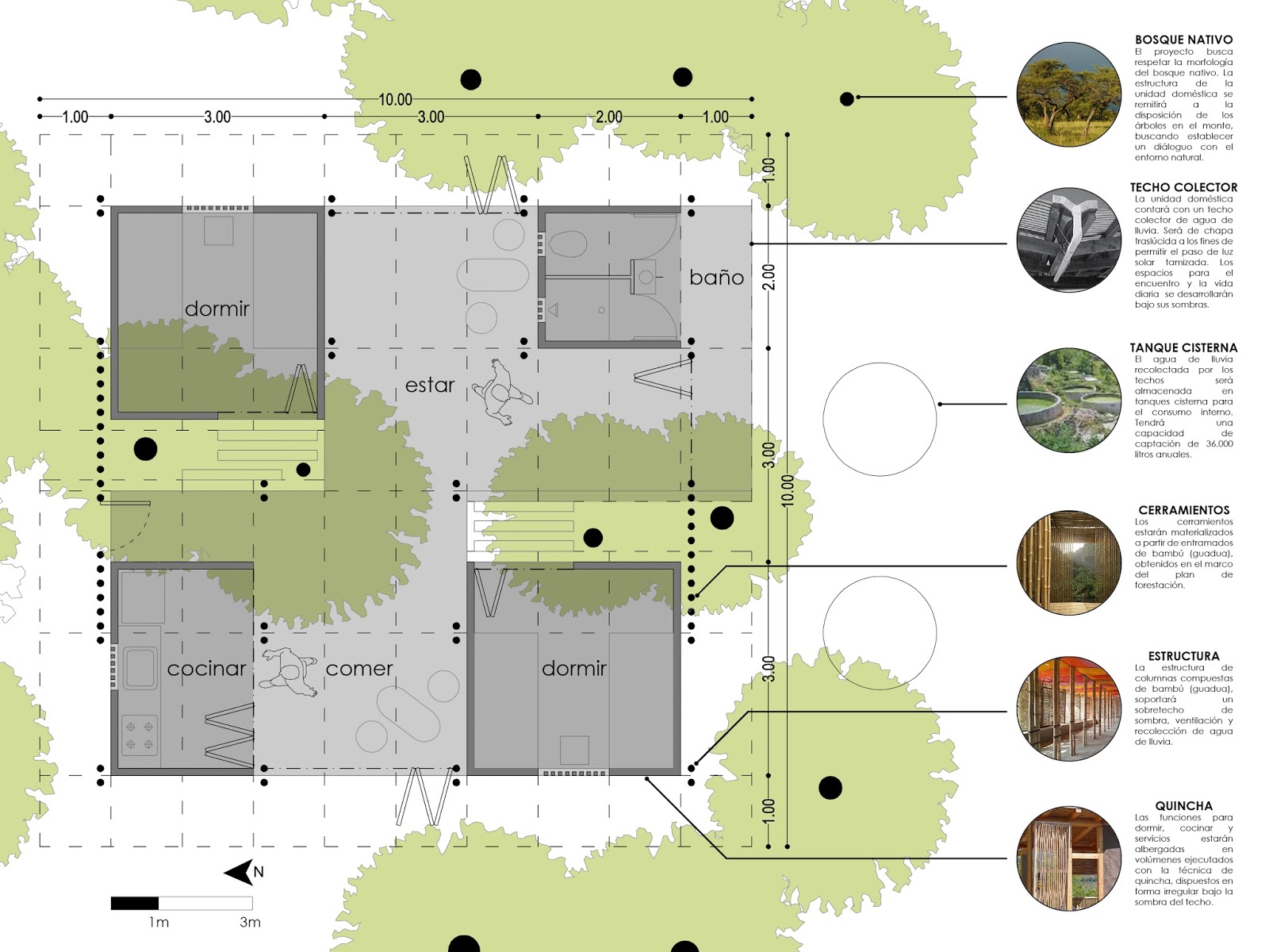 XhARA: COSECHANDO ESTRUCTURAS