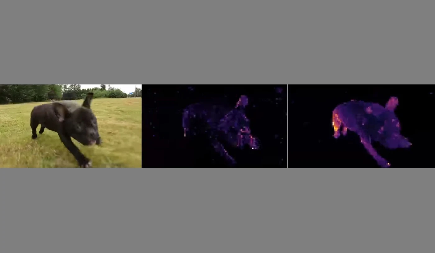 YouTube Introduces Machine Learning Individual Object Recognition on ...