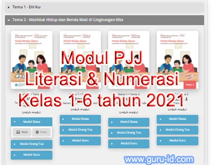 Modul belajar Literasi dan Numerasi Jenjang sd - Modul Ajar Kurikulum ...