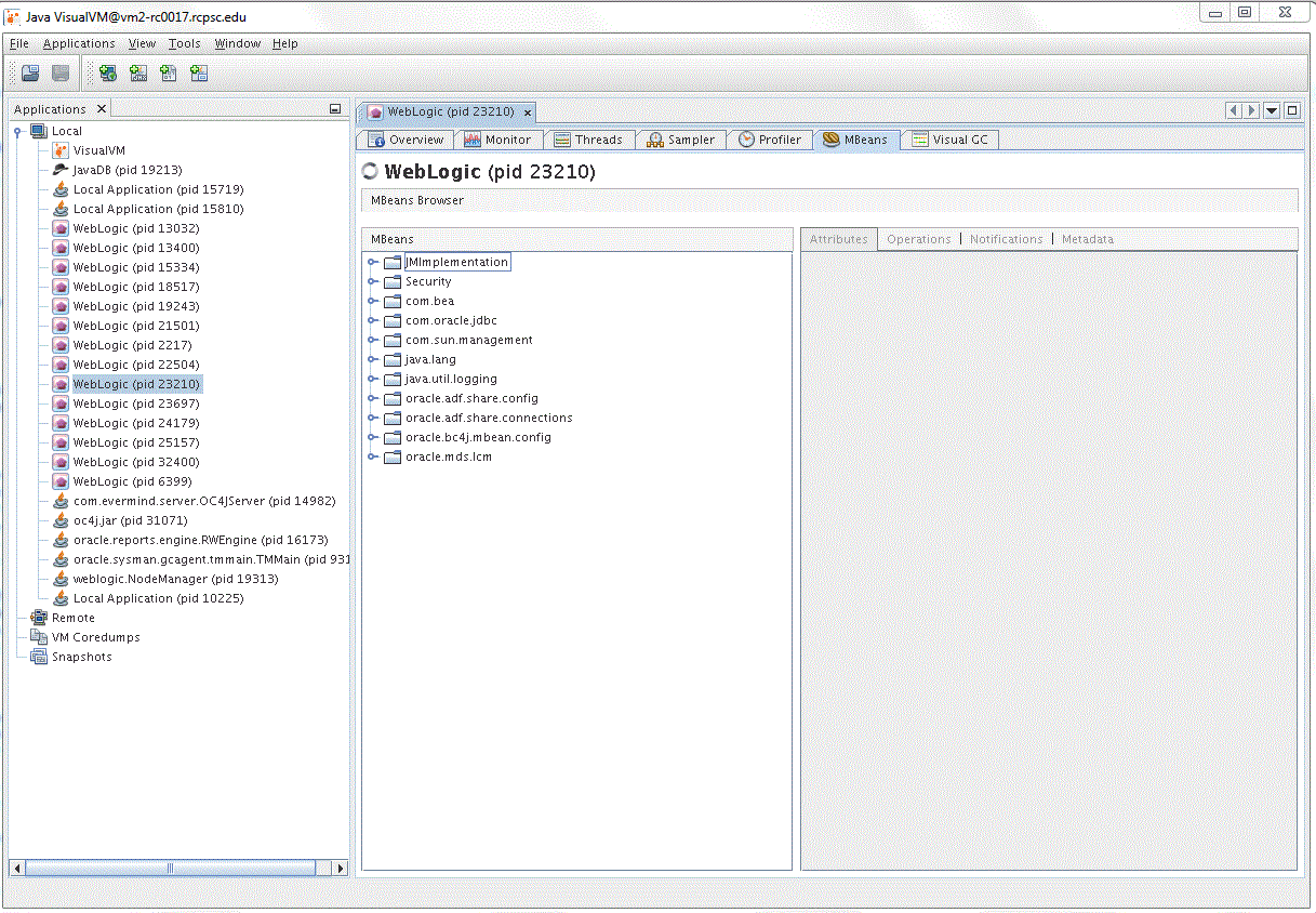 Ham and Java Sandwich: Using JVisualVM to connect to a remote Weblogic 12c Managed Server