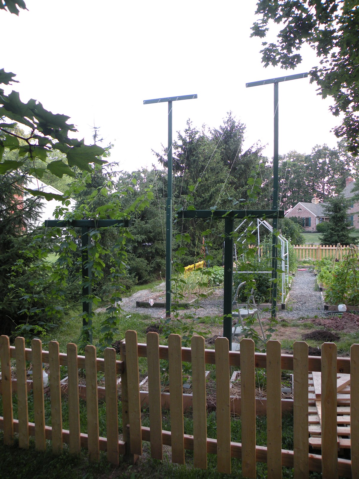 Harleysville Homestead: Hop Trellis Build Part 2