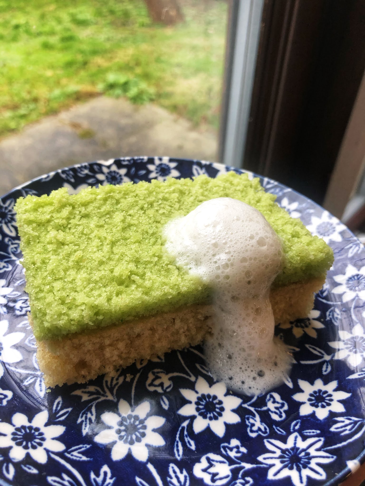 The Vegan Nigerian: Vegan Edible Dish Sponge Cake | April Fool's Prank ...