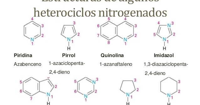 QUÍMICA: HETEROCICLOS