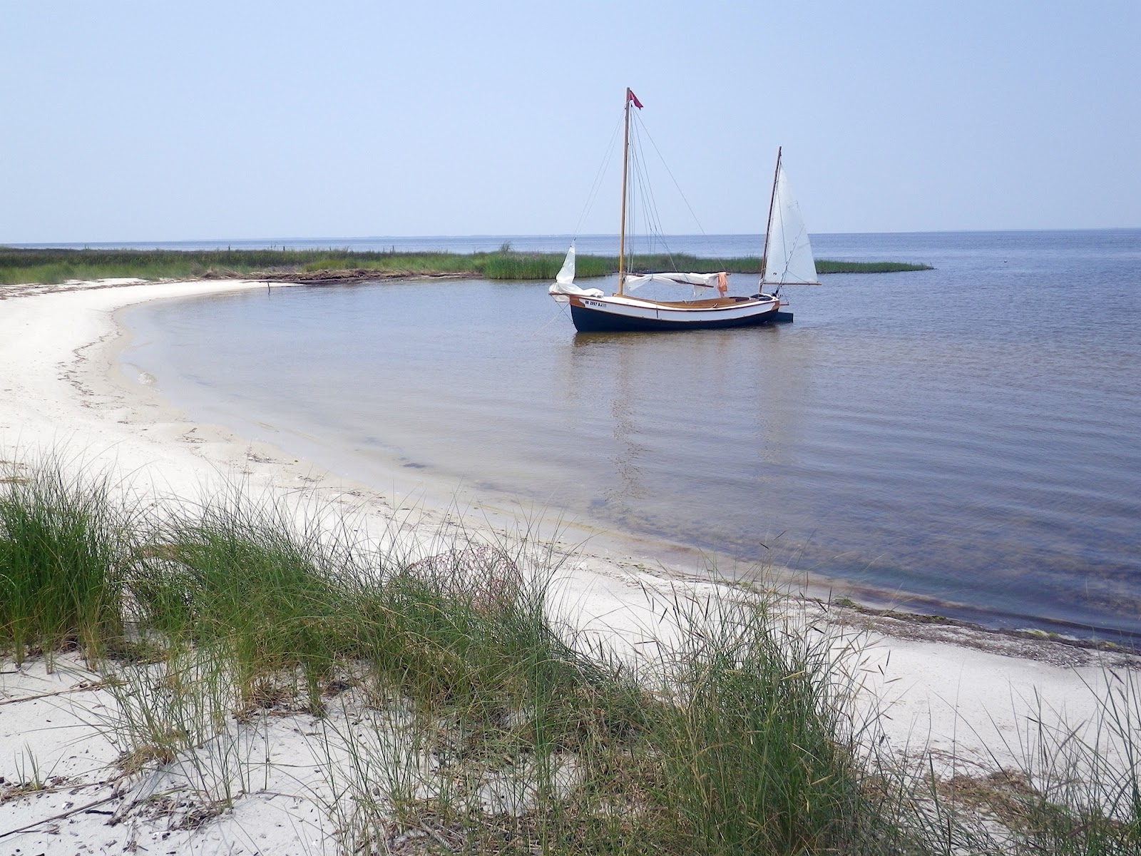 The Log of Spartina: day five - north to the Pungo River