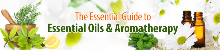 Essential Oil Guide
