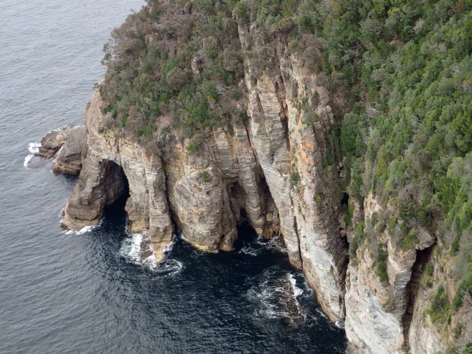 Waterfall Bluff | Hiking South East Tasmania