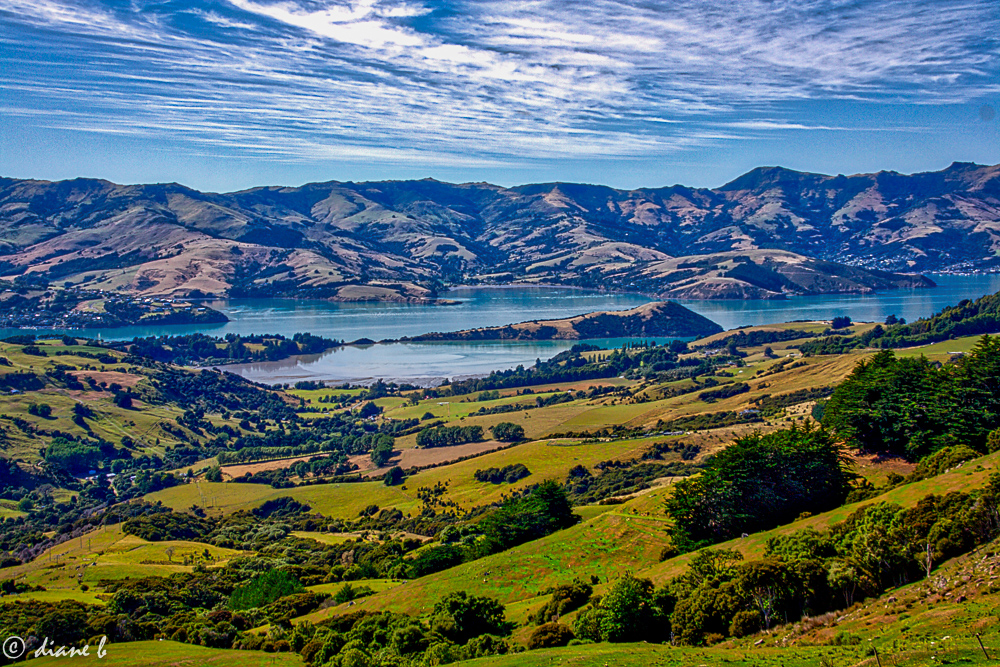 ADVENTURE BEFORE DEMENTIA: PRETTY AKAROA, NEW ZEALAND
