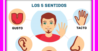Mis 5 sentidos.