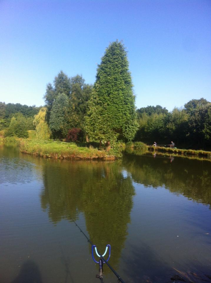 UK fishing venues: Pool Bridge Farm (Horseshoe Lake) - Venue Review