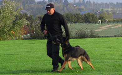 Cornwall, Devon and Dorset Police Dog Section: October 2013