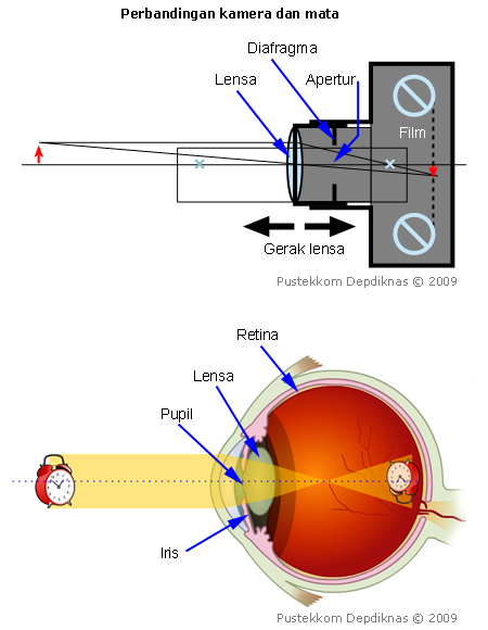 Materi Optik Tentang Kamera | Idsekolah