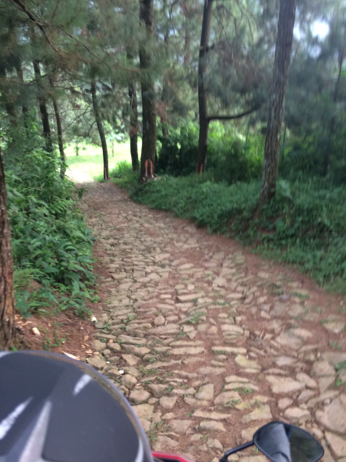 Curug Panjang dan Curug Bulao : Wisata Alternatif di Puncak Bogor