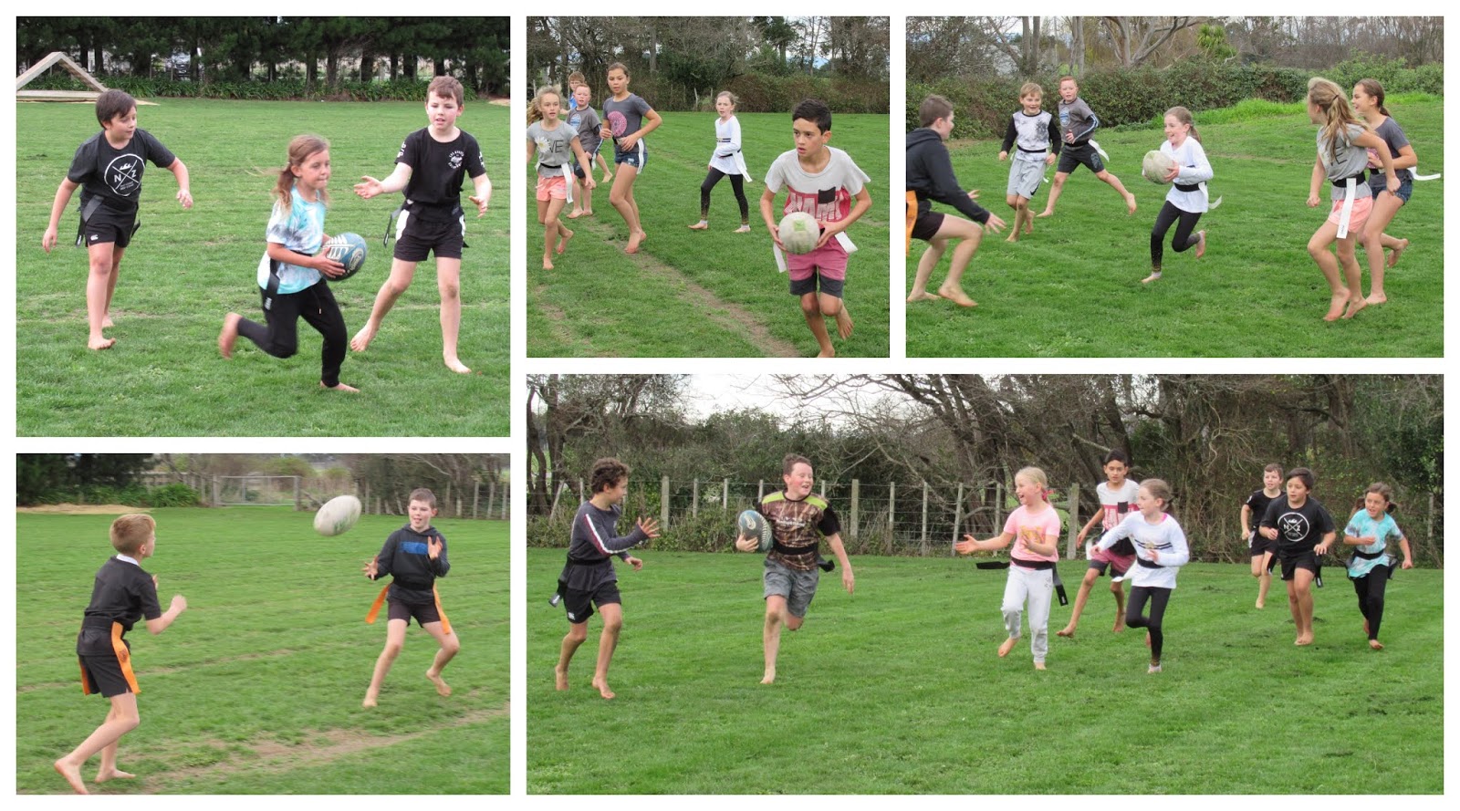 Room 6 Halcombe School 2019: Rippa Rugby