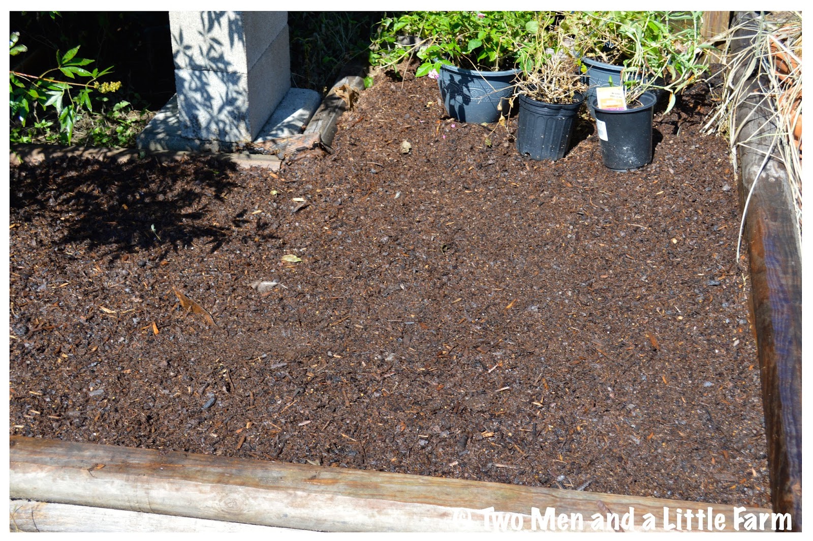 Two Men and a Little Farm: CORNER FLOWER BED