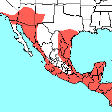 Abe's Animals: Jaguar range in North America