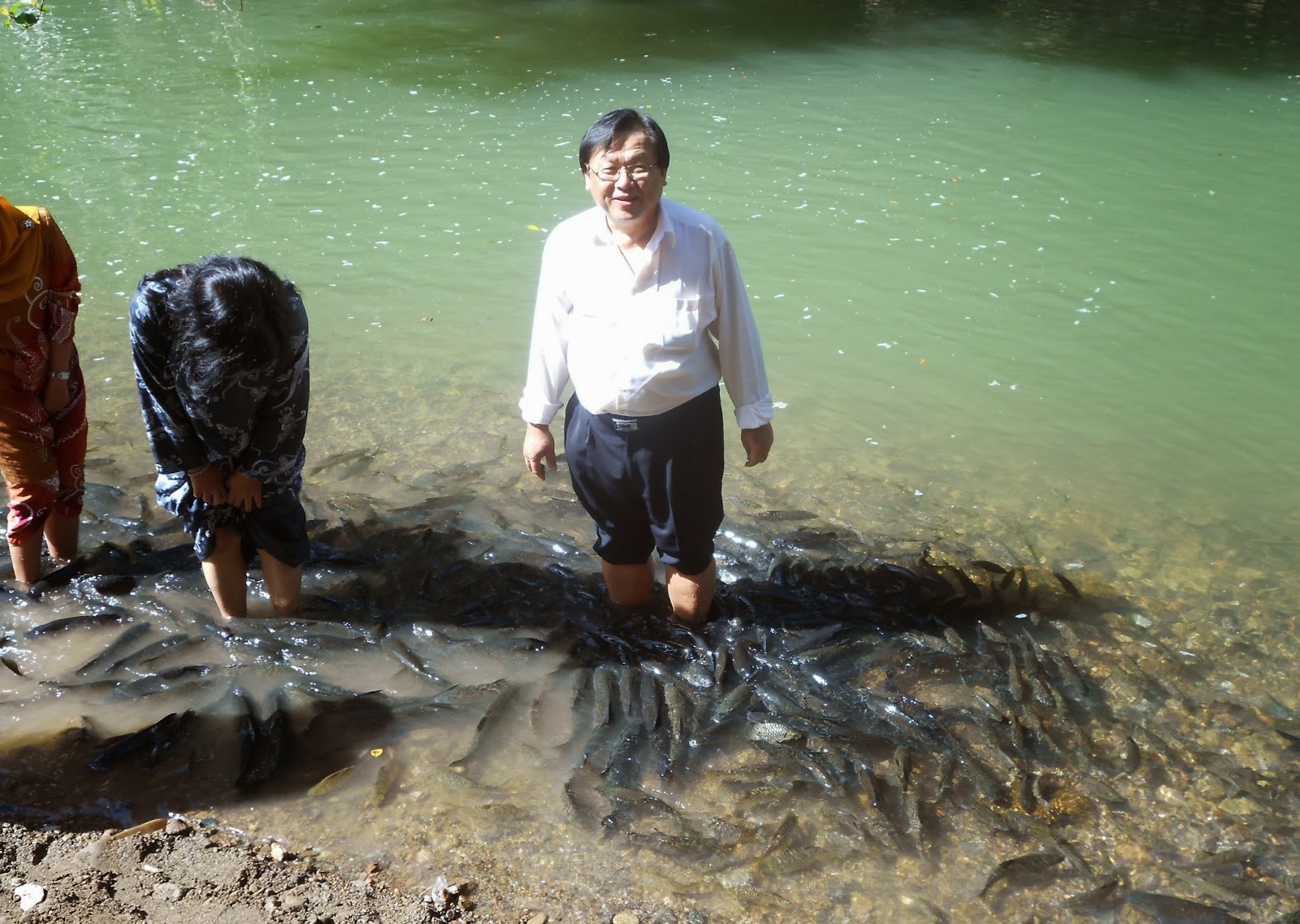 FREELITTLEBRAIN: Fish SPA in Sabah -Tagal Sungai Moroli, Kg Luanti Baru