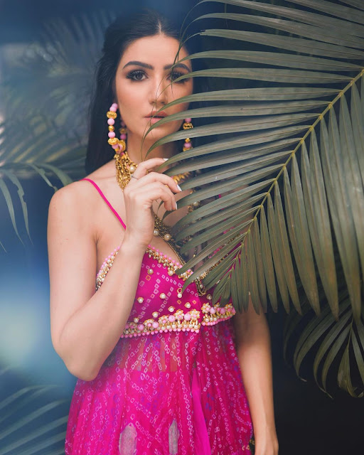 Amy Aela Biography Wiki DOB Age Height Weight Family Net Worth and More