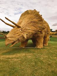 Breathtaking places: Pretty remarkable skinless mole rat