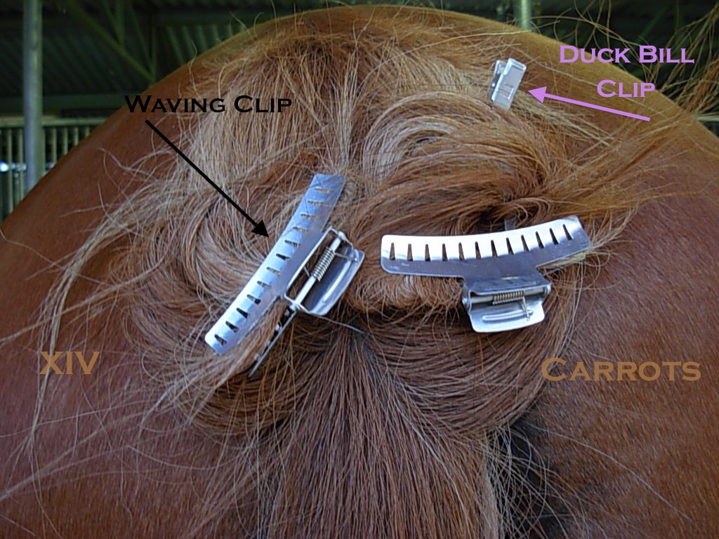 Fourteen Carrots: Hot Oil Treatment for the Equine Tail