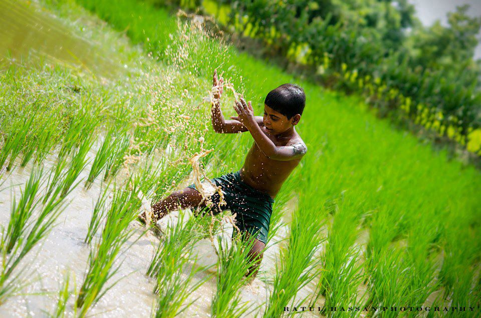 Amardesh Bangladesh | aamarbd