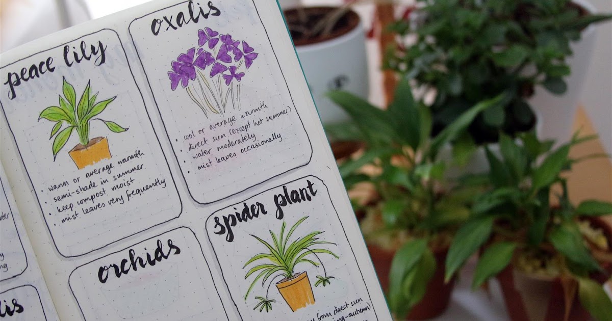 emuse: Bullet journal ideas: Plant care