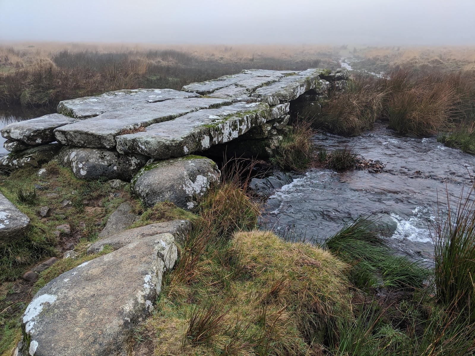 Max Piper - Tor Bagger: Dartmoor: Back to Fernworthy Forest (11.77 miles)