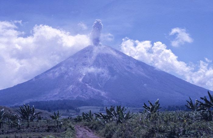 jalur pendakian gunung argopuro. | kabut senja