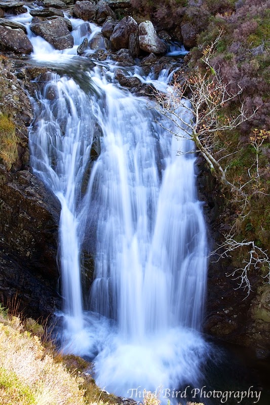 Third Bird Photography: Buttermere and Haystacks