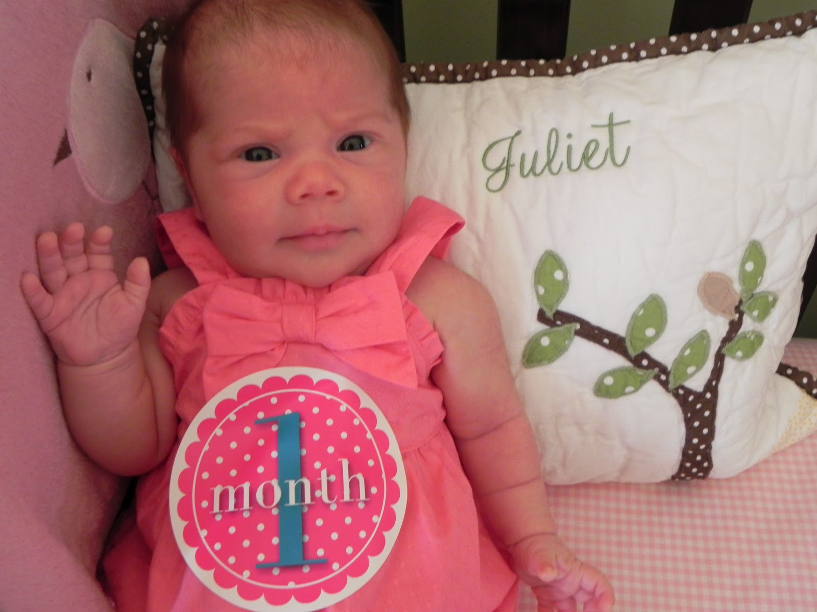 Leah Loo, Jelly Boo, and Teddy Too: Jelly Belly Boo Boo