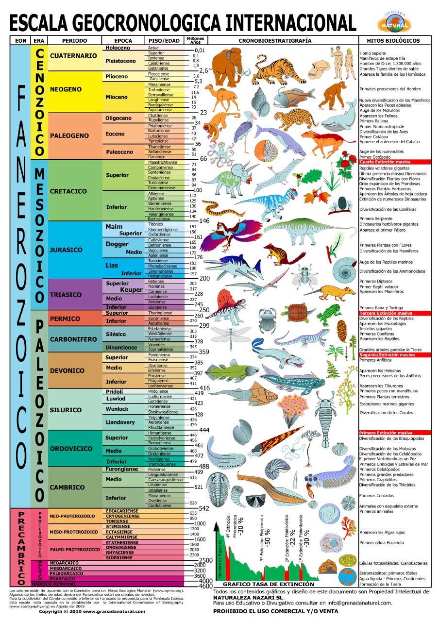 Ciencias de la tierra 2020-21: Qué ocurrió en el Paleozoico