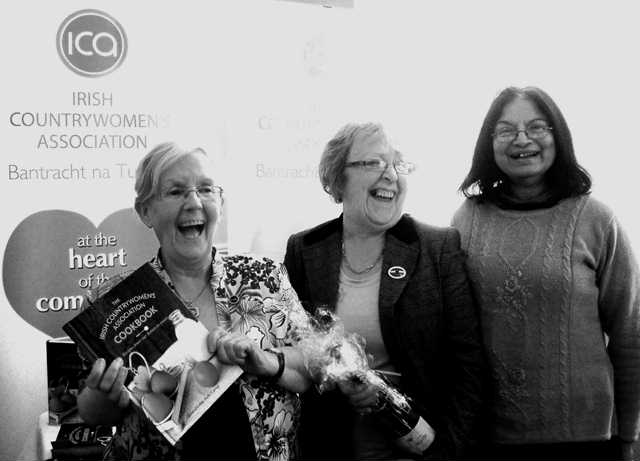 Kildimo News: November 2012