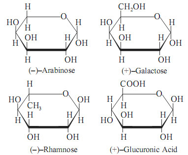 Acacia:Indian Gum; Gum Acacia; Gum Arabic