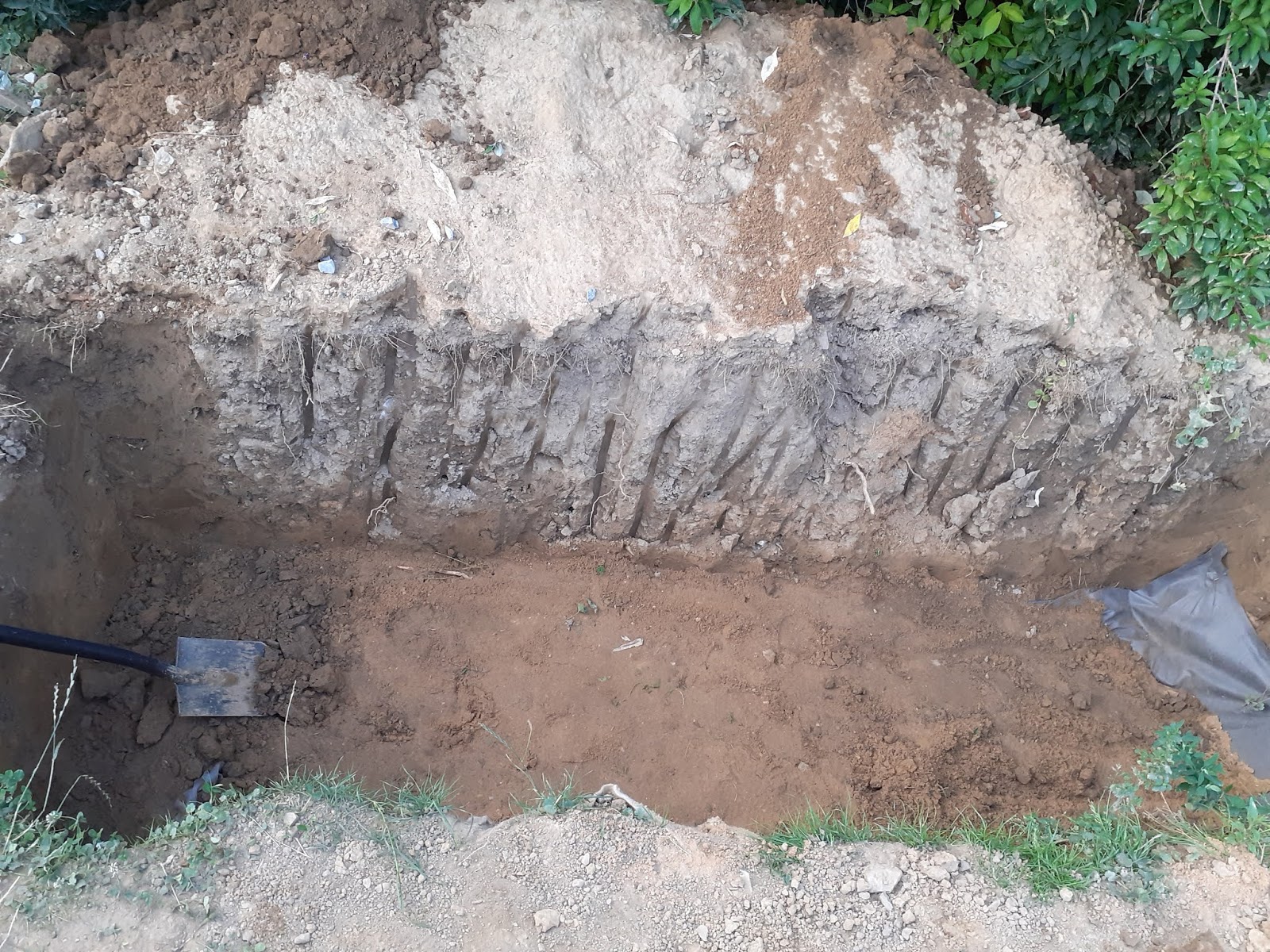 Sister Brylee Lewis: "Chicken Nuggets, Grand McSundae and Alcohol"