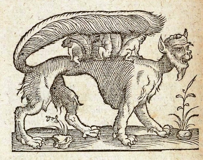 HISTORIAS ZOOLOGICAS: EL HUILLÍN (Lontra provocax): ¿UN MONSTRUO ...