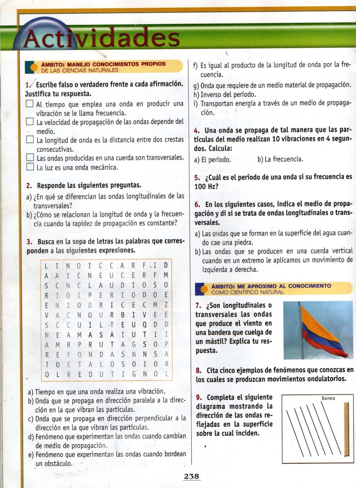 JORGE CIENCIAS NATURALES : ondas 9° taller#1