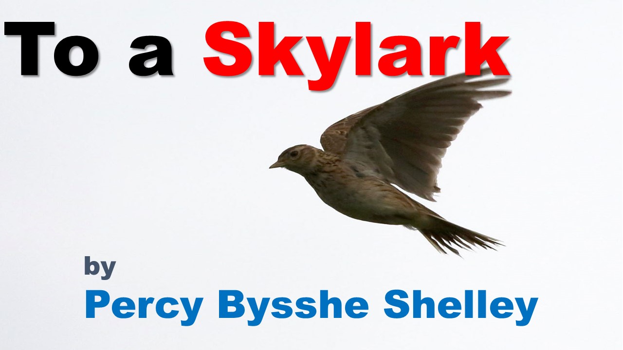To a Skylark by Percy Bysshe Shelley (Poem, Summary & Analysis)